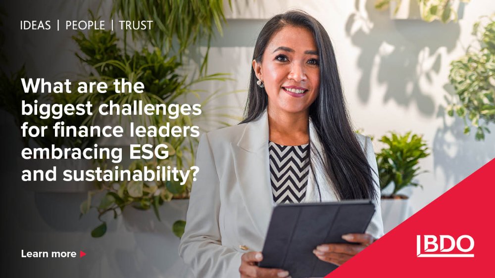 What are the biggest challenges for finance leaders embracing ESG and sustainability? - BDO